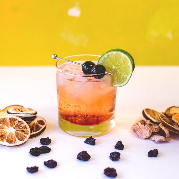 Michigan Moscow Mule Alcohol Infusion Kit – InBooze